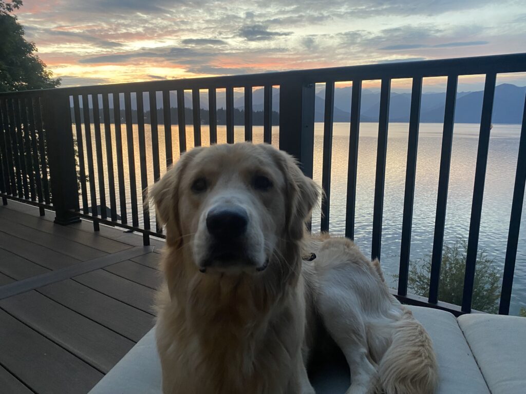 Oakley #4053 - Golden Bond Rescue